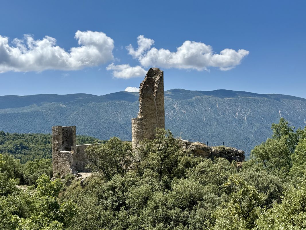 Espolien el Castell de Sant Gervàs amb detector de metalls - La Mañana